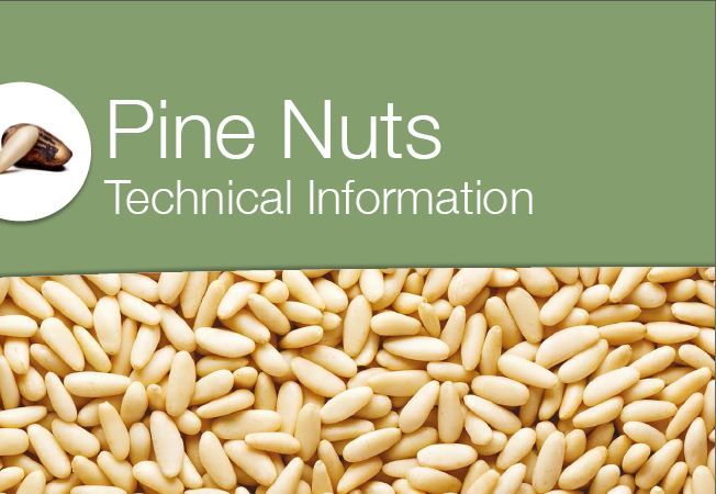 Pine Nut Technical Information Kit - International Nut & Dried Fruit ...
