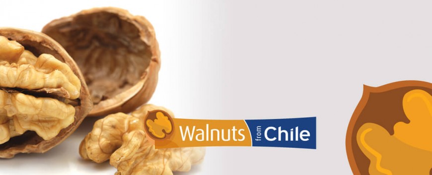 Chilean Walnut Commission Annual Congress - International Nut & Dried ...